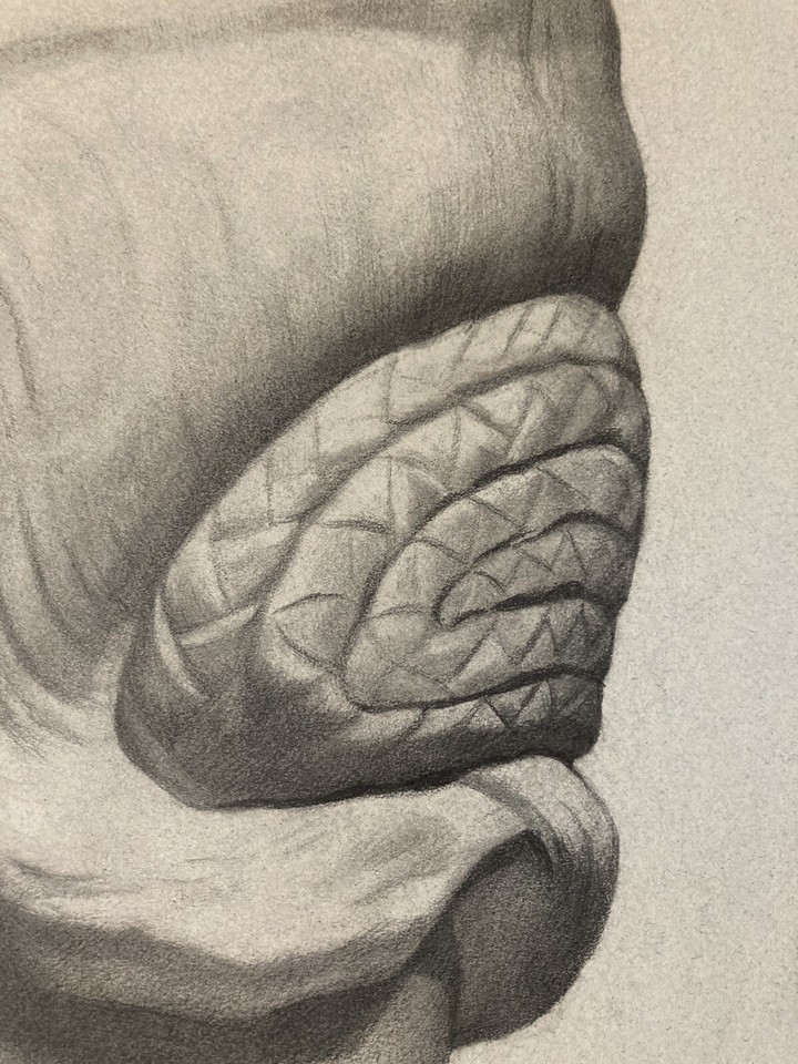 Very beautiful charcoal drawing XIXth 1872 head bust woman hair bun to ...