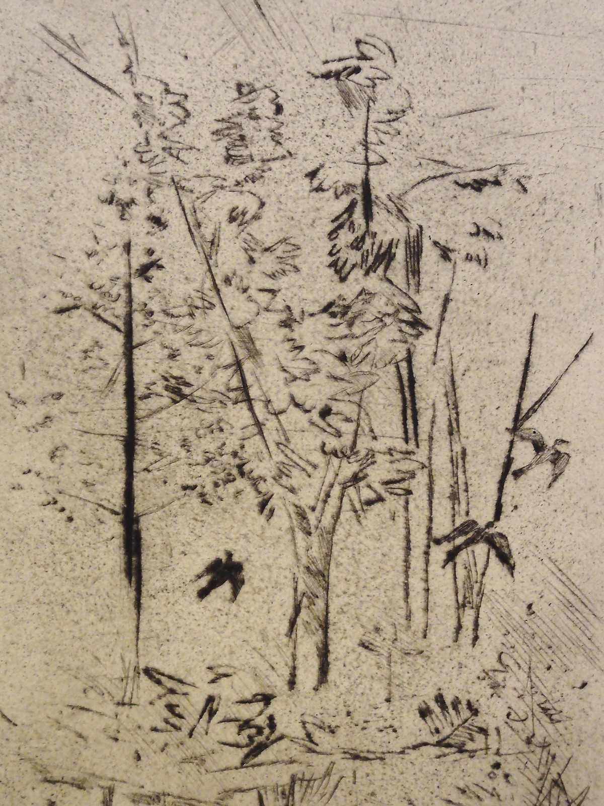 Georg Walter RÖSSNER (1885-1972) - Radierung: SCHWALBEN UND BÄUME ...