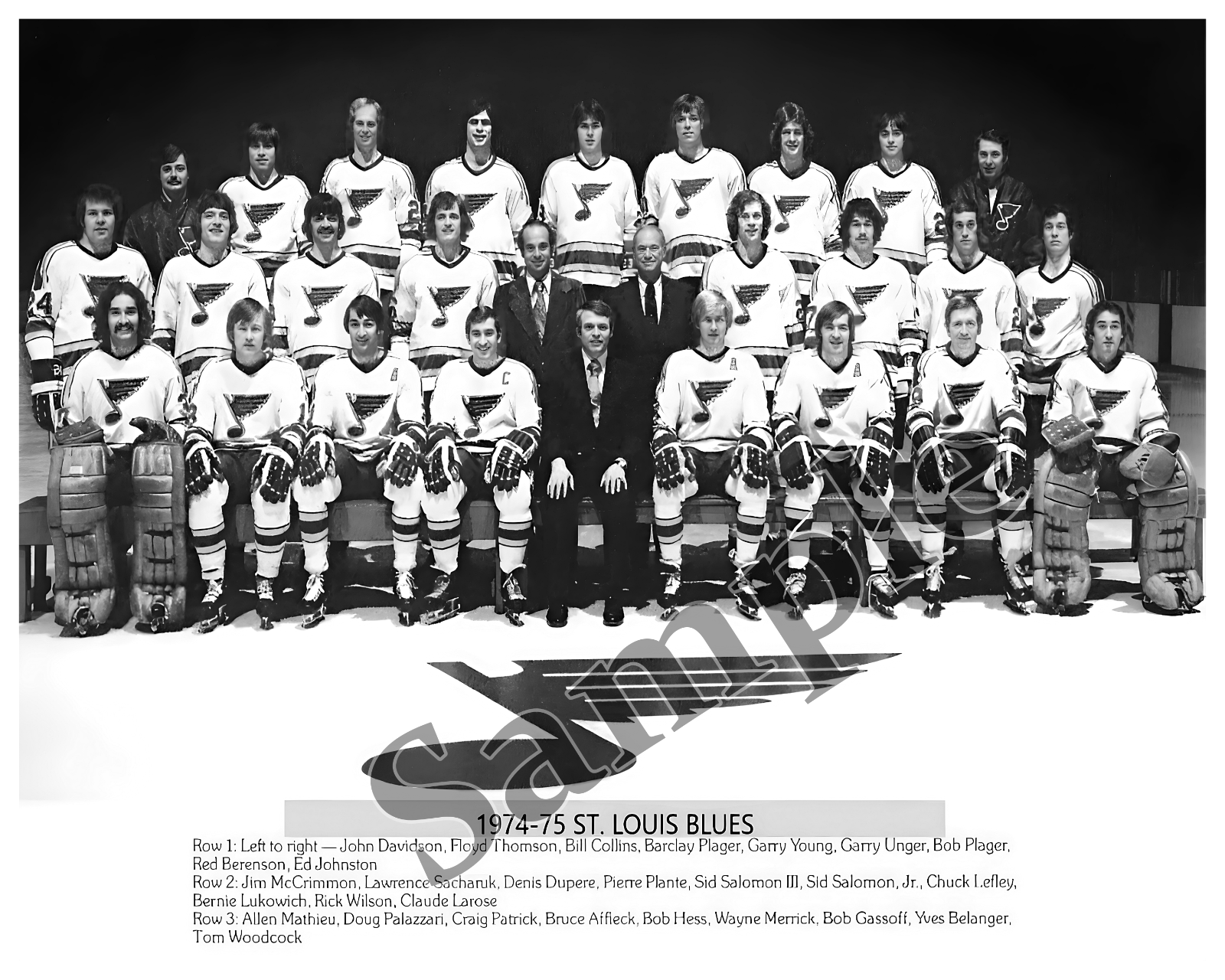 NHL 1974 - 75 St. Louis Blues Team Picture with Names 8 X 10 Photo ...