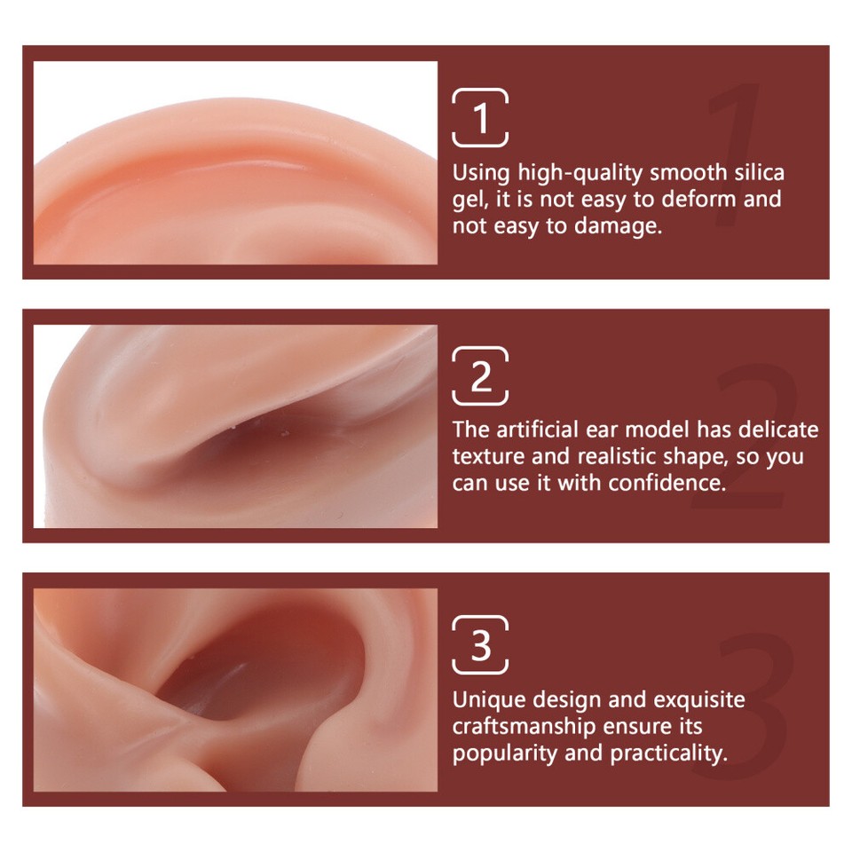 Human Ear Model Piercing Tool Presentation Earring Kit Simulator | eBay