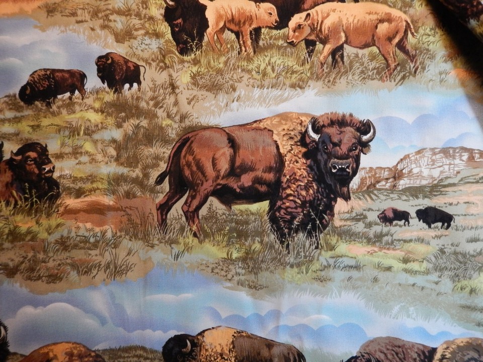 Northern Journey (Bison) Quilt Kit by Adrienna Yorinks - ~11 yards ...