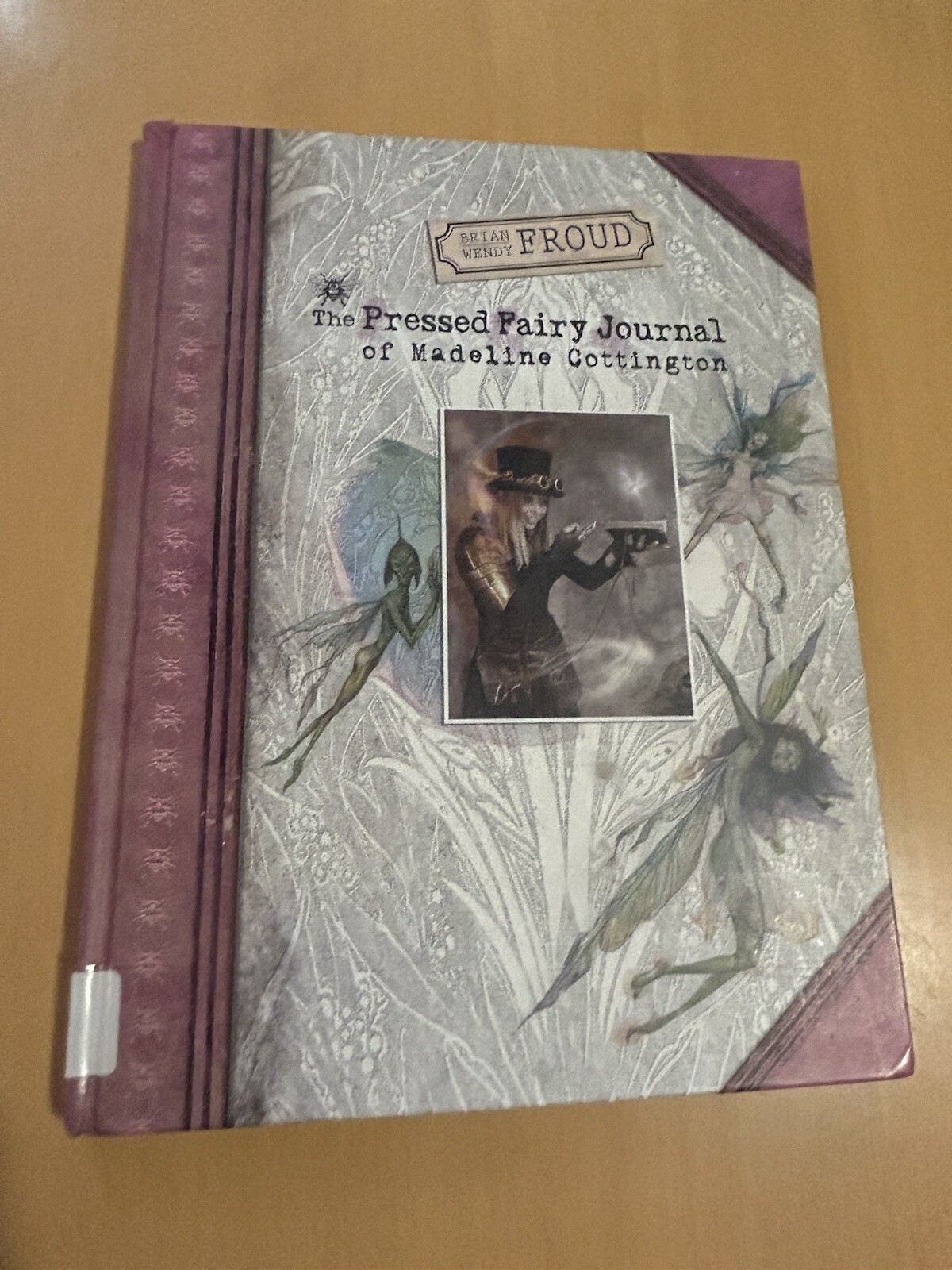 Brian and Wendy Frouds The Pressed Fairy Journal of Madeline Cottington ...