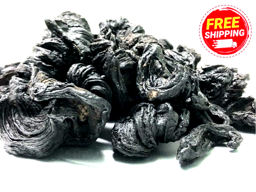 DRIED GORAKA GARCINIA CAMBOGIA Ceylon 100% Natural Organic Quality ...