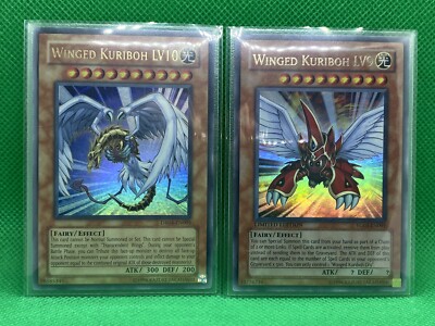 Winged Kuriboh Lv 10
