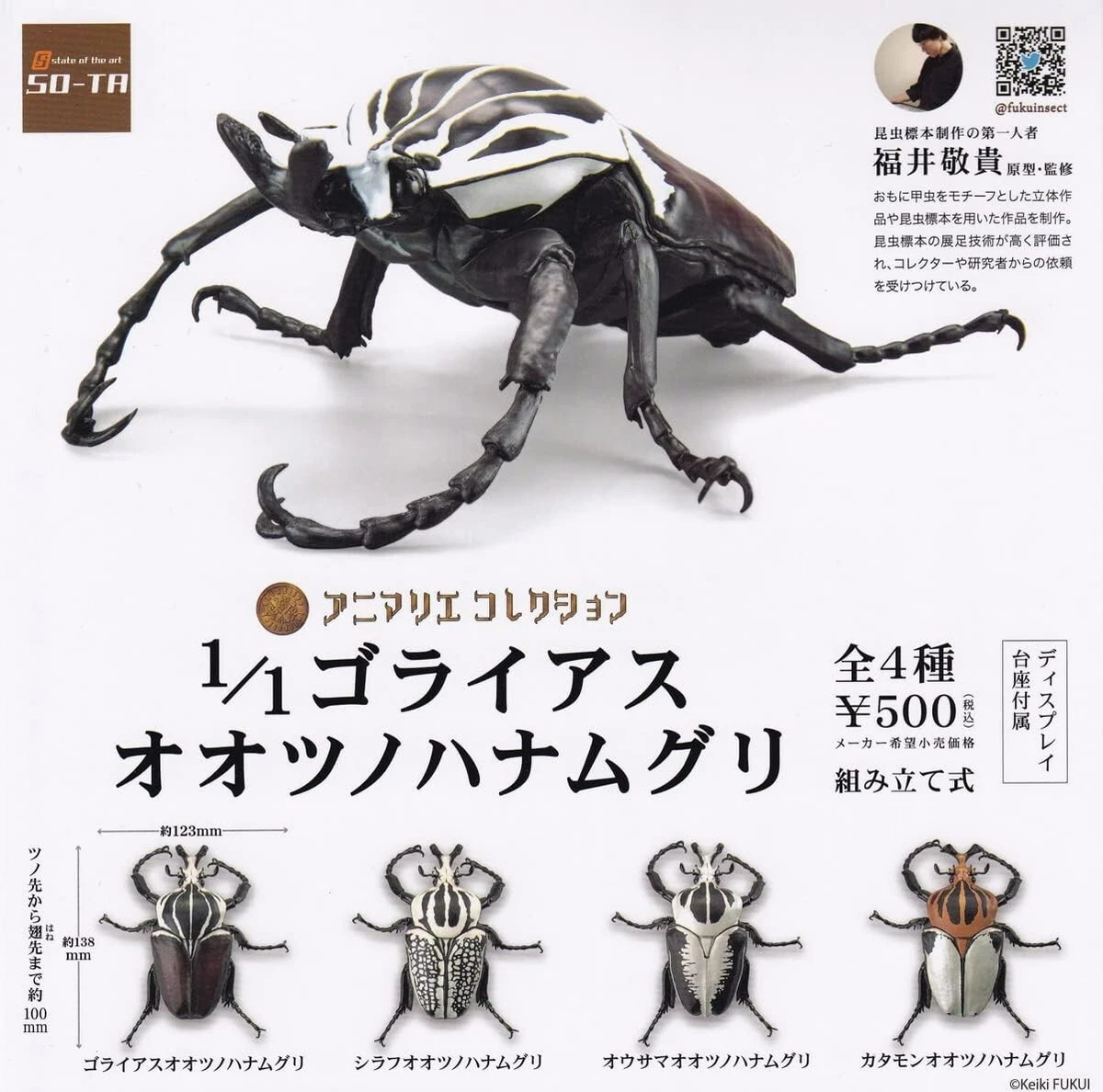African Goliath Beetle