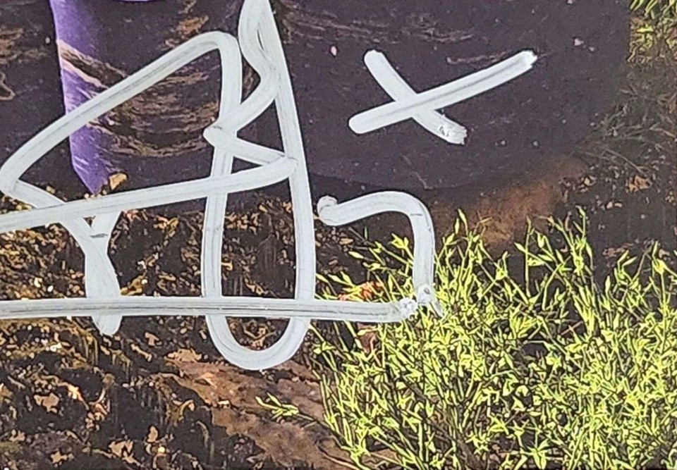 Papa Roach Autographed Eco Trip Seafoam Vinyl LP With Yellow 7 Inch #1 ...