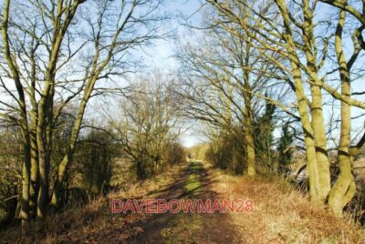 PHOTO OLD RAILWAY AT BACKNEY THIS IS NOW A PART OF THE WYE VALLEY WALK ...