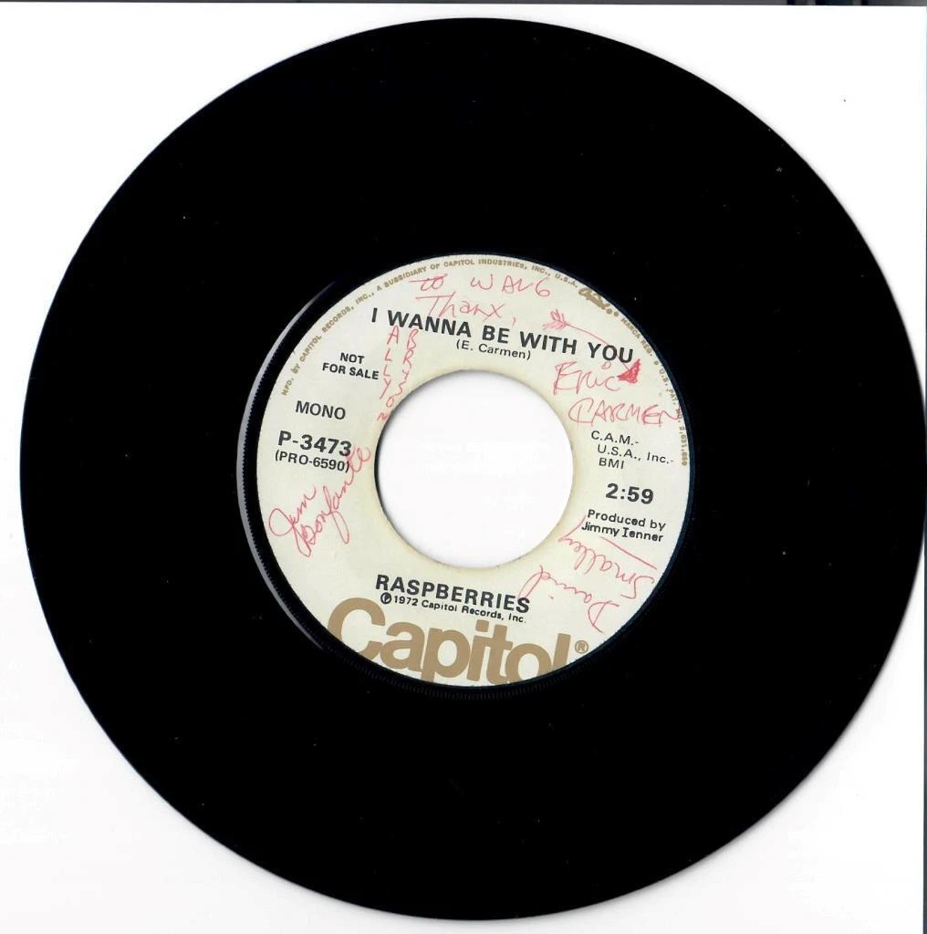 The Raspberries Band