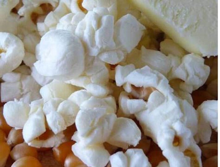 Non GMO Heirloom OP South American Popcorn Treated Seed a.k.a. Dynamite ...