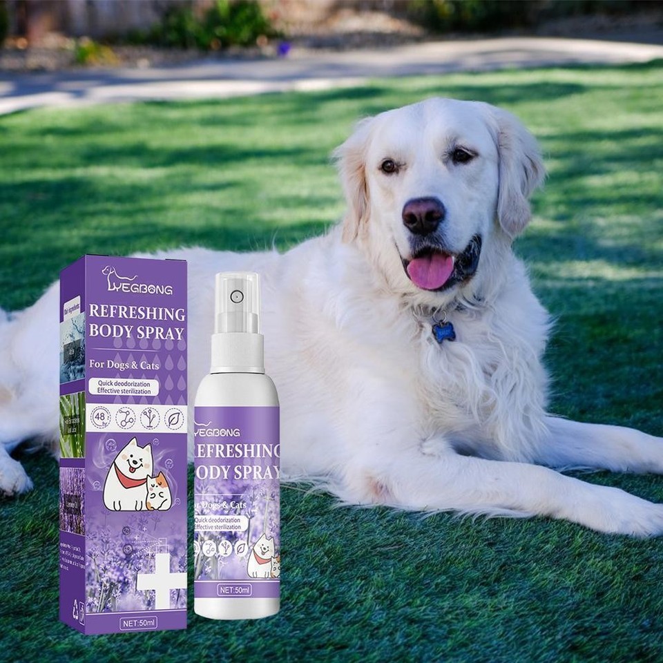Professional Dog Spray 50ml - Grooming Spray - Deodorant Perfume Hot |U ...