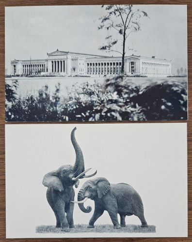 2 Chicago IL 1950s Field Museum postcards Elephants Natural History ...