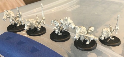 Neigh Slayers - Warmachine Hordes Grymkin | eBay