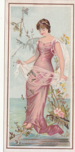 William Stellwagen Fancy Furs Brooklyn E D A C Heune Pink Dress Vict ...