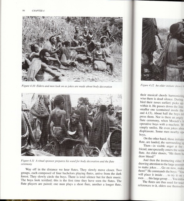 The Sambia : Ritual, Sexuality, and Change in Papua New Guinea by ...