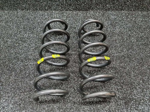 Renault Sport Megane 250 AGP Rear Suspension Springs CUP MK3 RS 250 265 ...