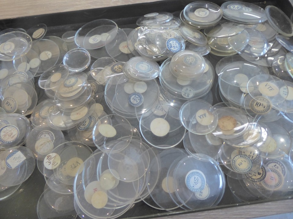 LARGE LOT ANTIQUE , MAINLY GLASS WATCH CRYSTALS FOR POCKET WATCHES ...