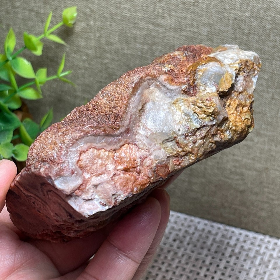 Rare Mexican Crazy Lace stone Raw rough rock original Specimen Mexico ...