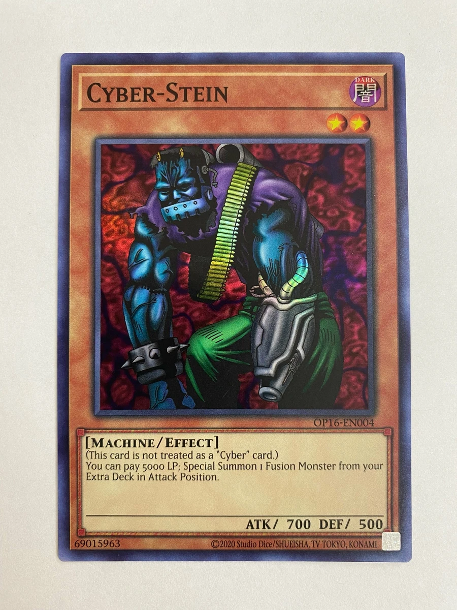 Cyber Stein