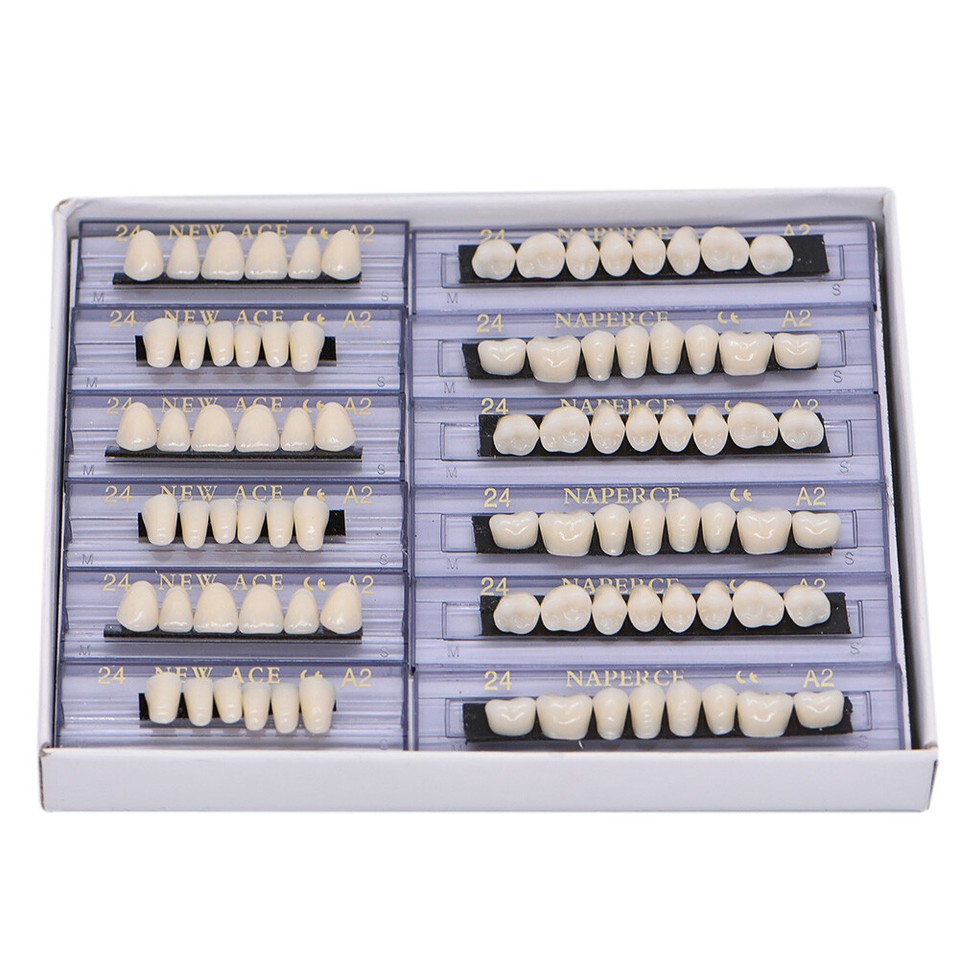 168pc Dental Acrylic Resin Tooth Shade 24# A2 Denture Full Set Teeth ...