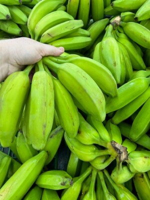 Fresh Platano Burro (5 LBS) The Actual Fruit Plantain Burro | eBay