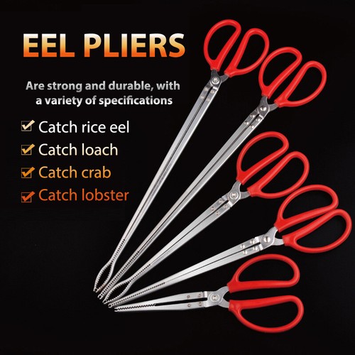 Pincers Loach Eel Crab Trap Fish Traps Carbon Clip Pliers Clamp Razor ...