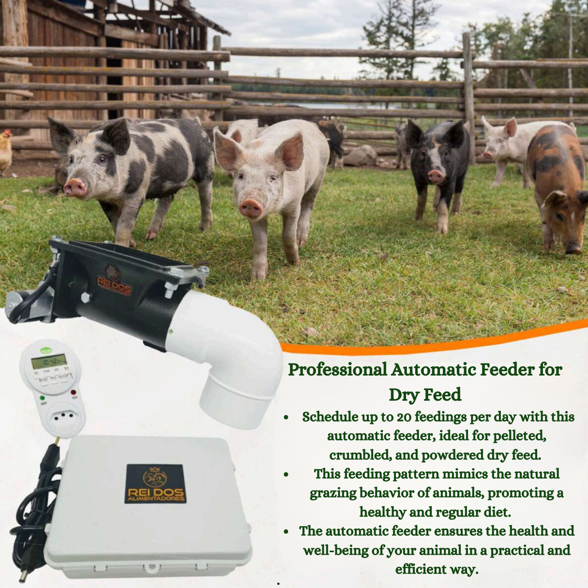 Auto Pig Feeder Plastic Pigs Auto Feeder For Weaner Pigs Feeder For