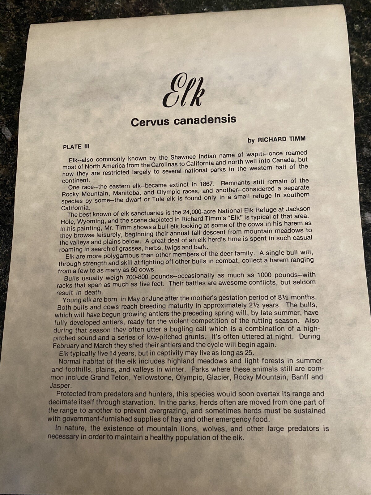 Vintage Richard Timm Signed Framed Elk Print | eBay