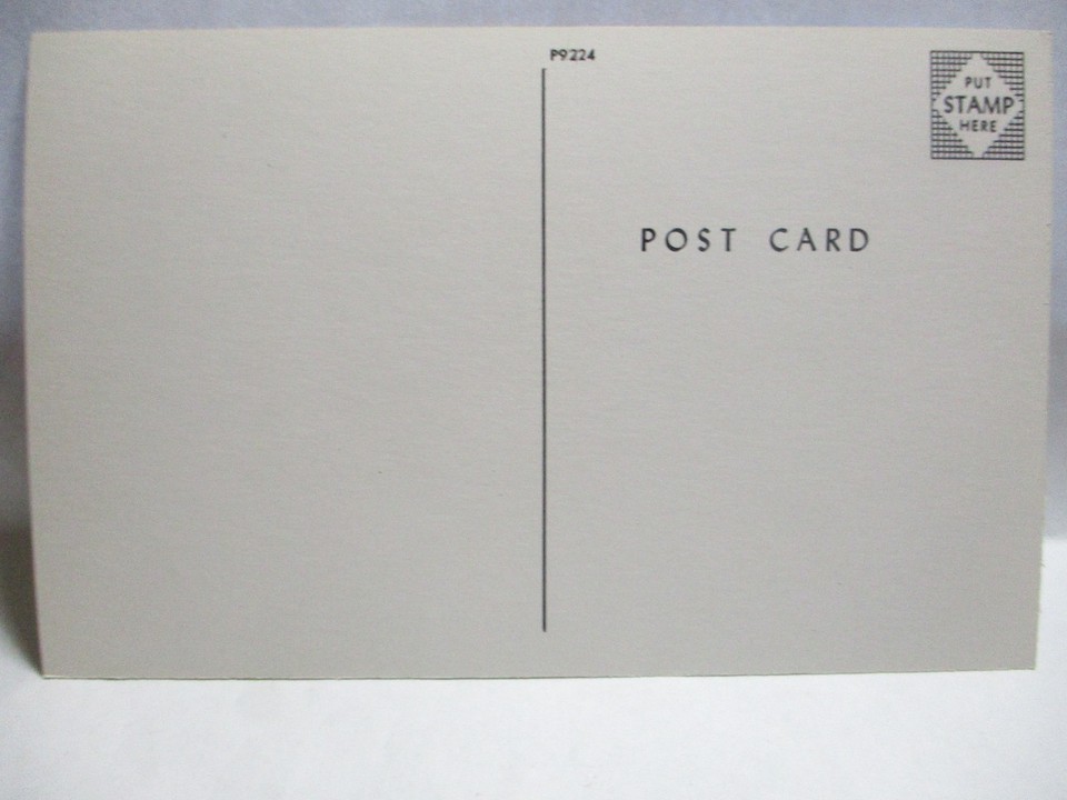 1950S RISQUE POSTCARD EVERYBODY IS ADMIRING OUR POST CARDS! BARE WOMAN ON BEACH | eBay