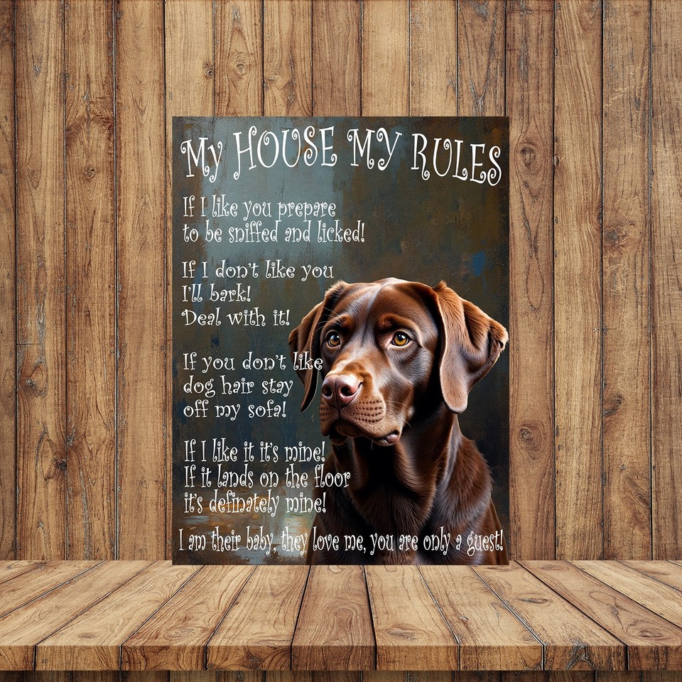Chocolate Labrador My House My Rules cute retro metal tin novelty sign ...