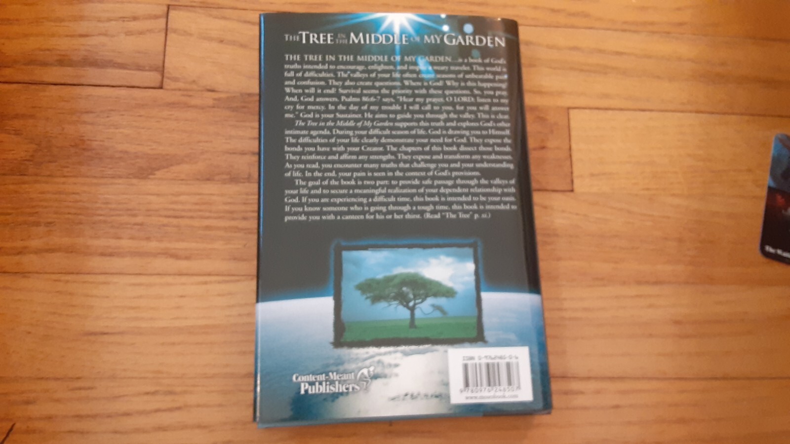Moses Caesar SIGNED The Tree In The Middle Of My Garden 2004 HB ...