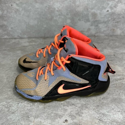 Nike LeBron 12 Easter GS Youth Size 2Y Hot Lava Sunset Glow (685181-488 ...