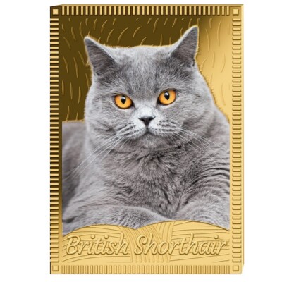 2022 Tokelau Cat $1 24K Gold Colorized Coin British Shorthair Cat .999 ...