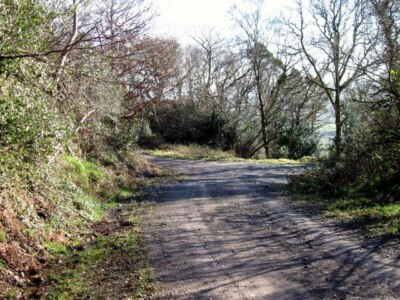 Photo 6x4 Track Junction Killurney Junction of forest tracks near ...
