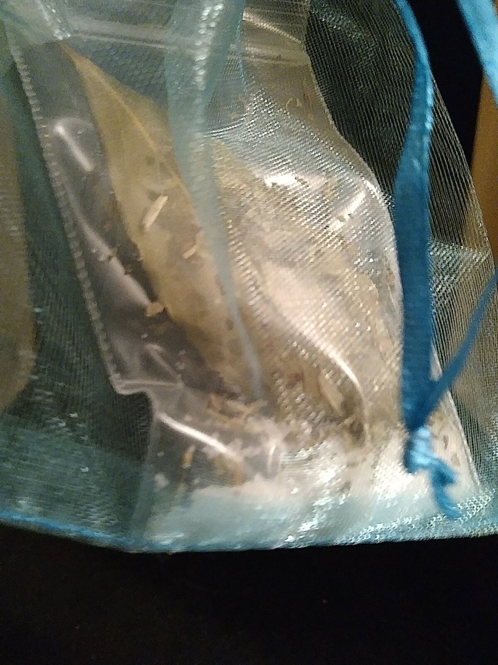 Mojo bag hoodoo bag Creativity And Clarity Spell Bag | eBay