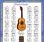 VIHUELA CHORD CHART & NOTE LOCATOR - SMALL CHART | eBay