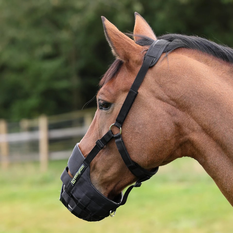 Shires Freegraze Airflow Grazing Grass Muzzle, Horse Pony, Black, 5 ...