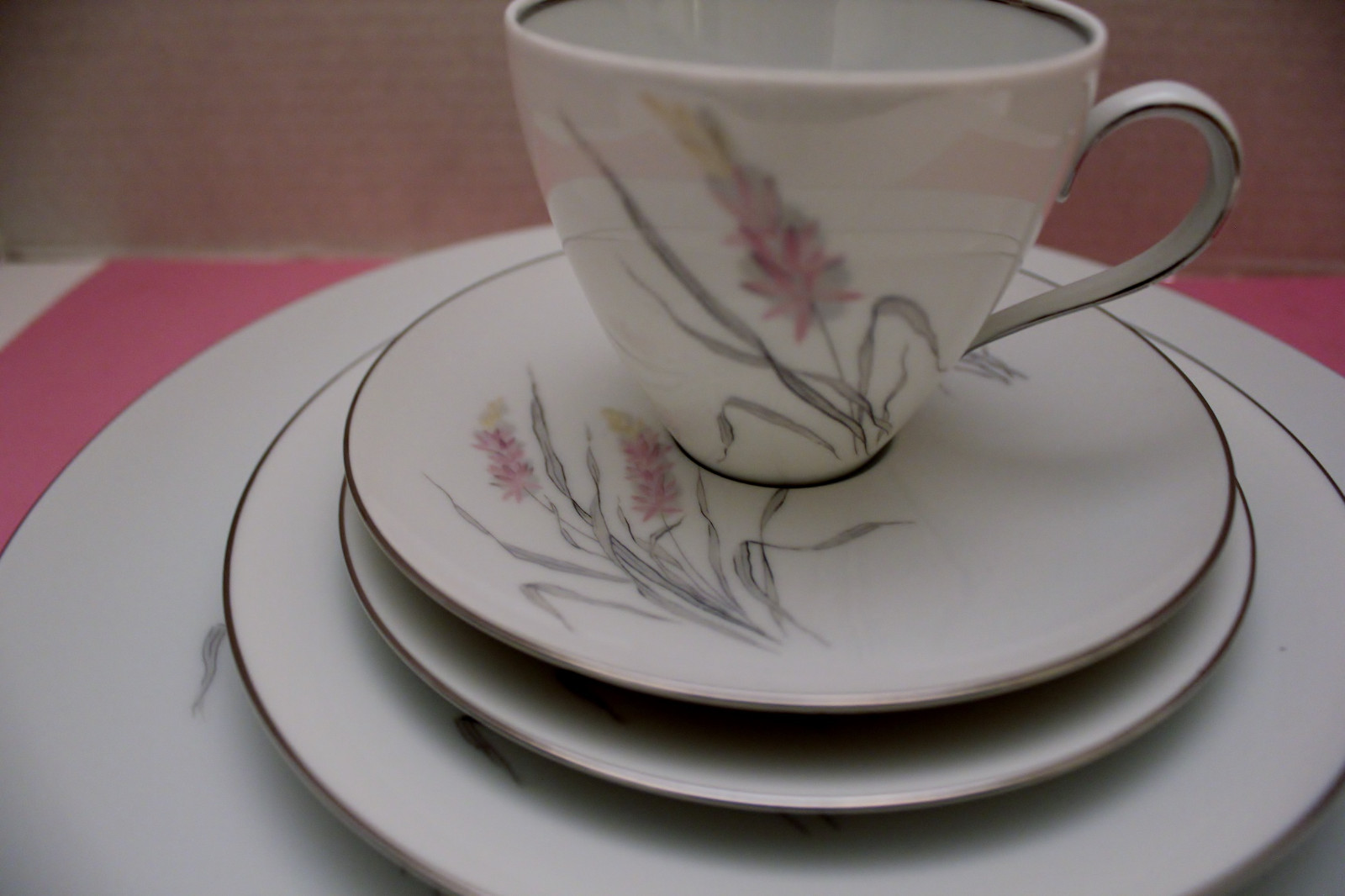 ROSENTHAL/JOHANN HAVILAND BAVARIA EVA ZEISEL 5 PIECE PLACE SETTING | eBay