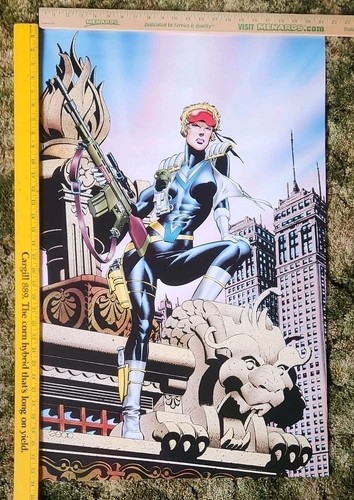 Vigilante Poster Mike Zeck DC Comics VINTAGE 1992 Patricia Trayce ...