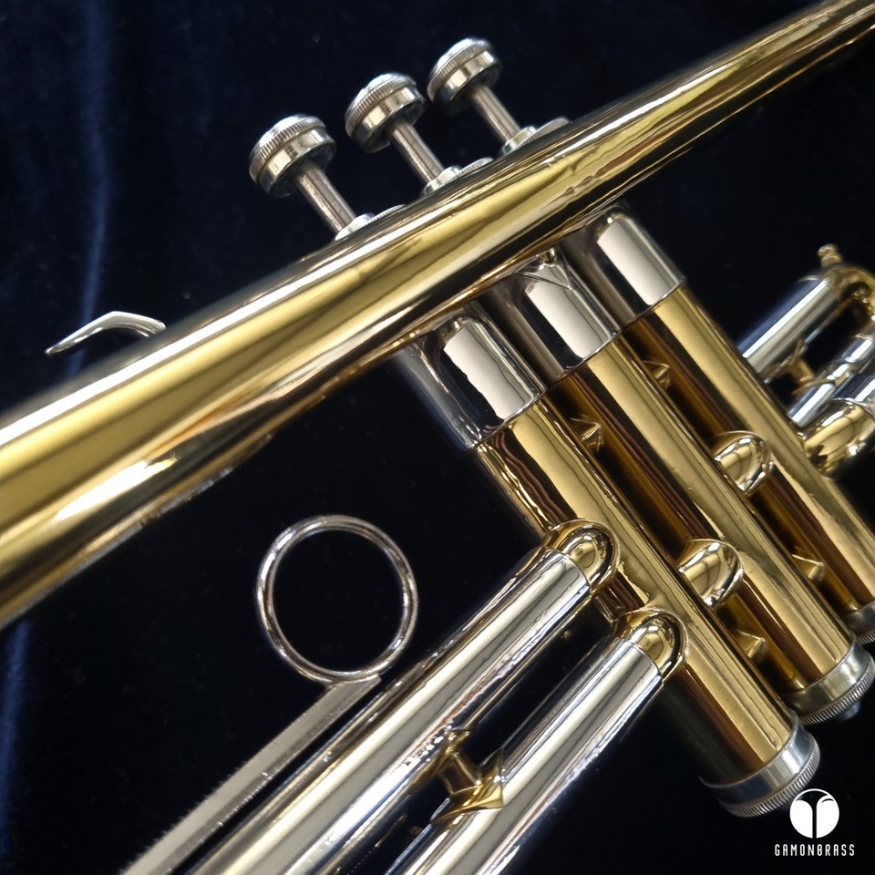 The Martin Imperial Handcraft trumpet case mouthpiece gamonbrass | eBay