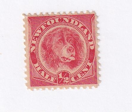 NEWFOUNDLAND # 57 MH 58 MLH 1/2cts NEWFOUNDLAND DOGGIES BEST DOGS IN ...