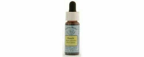 Flower Essence Services - Beech Dropper 0.25 oz | eBay