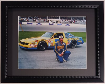 NASCAR Dale Earnhardt sr 14x18 Custom Frame | eBay