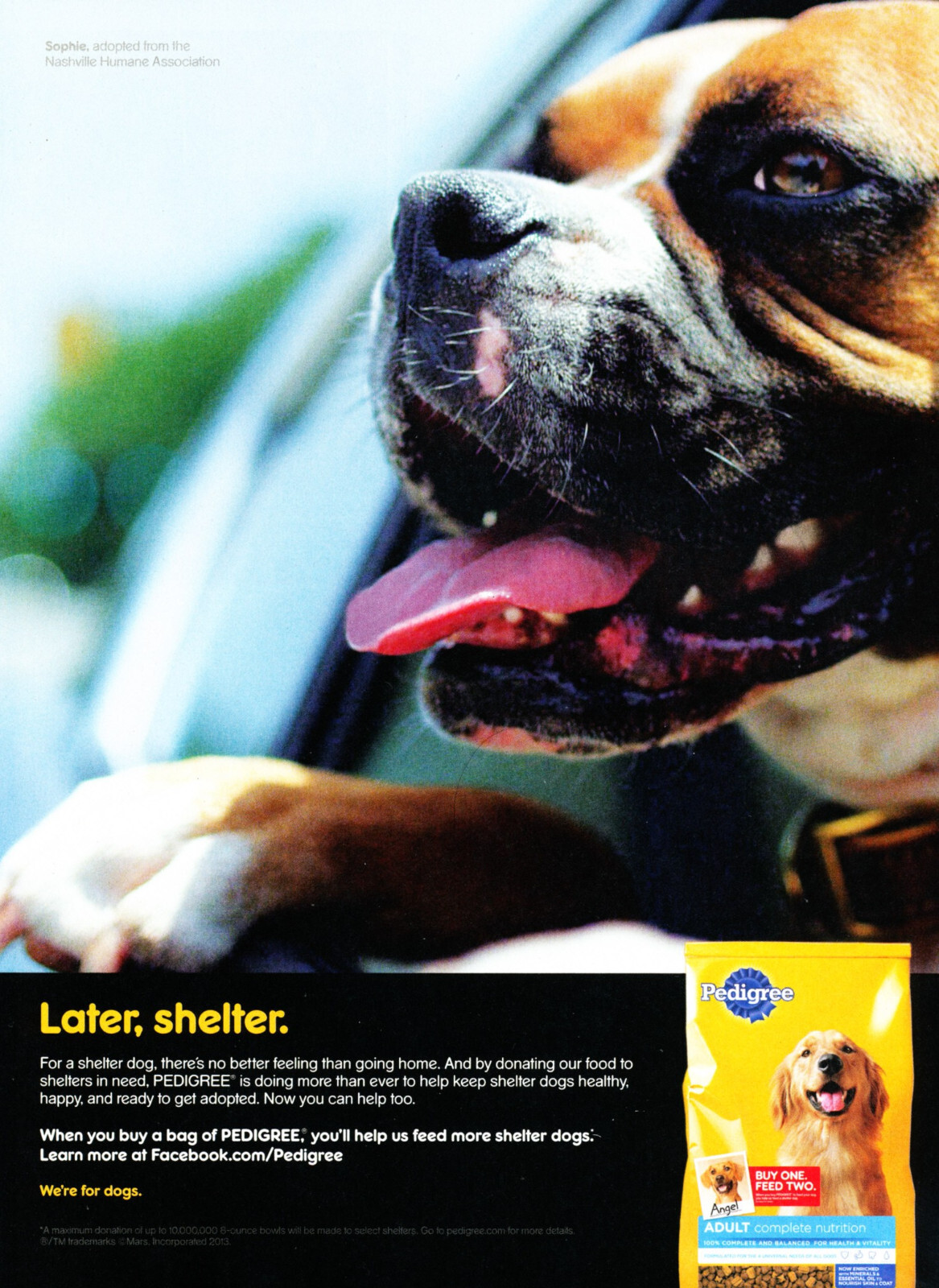PEDIGREE #15 MAGAZINE promo ad 2012 & 2013 DOG | eBay