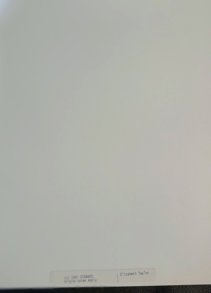 Elizabeth Taylor Rare Vintage 8x10 Herb Ritts Celebrity Photograph | eBay