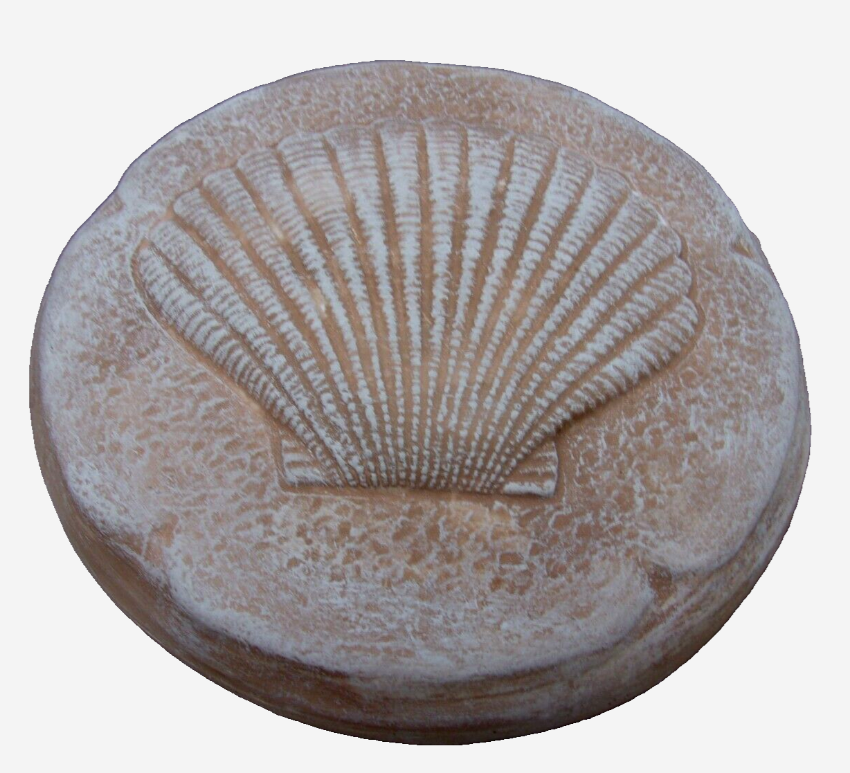 Shell plaque mold plaster concrete plastic sea mould 7" x 1" | eBay