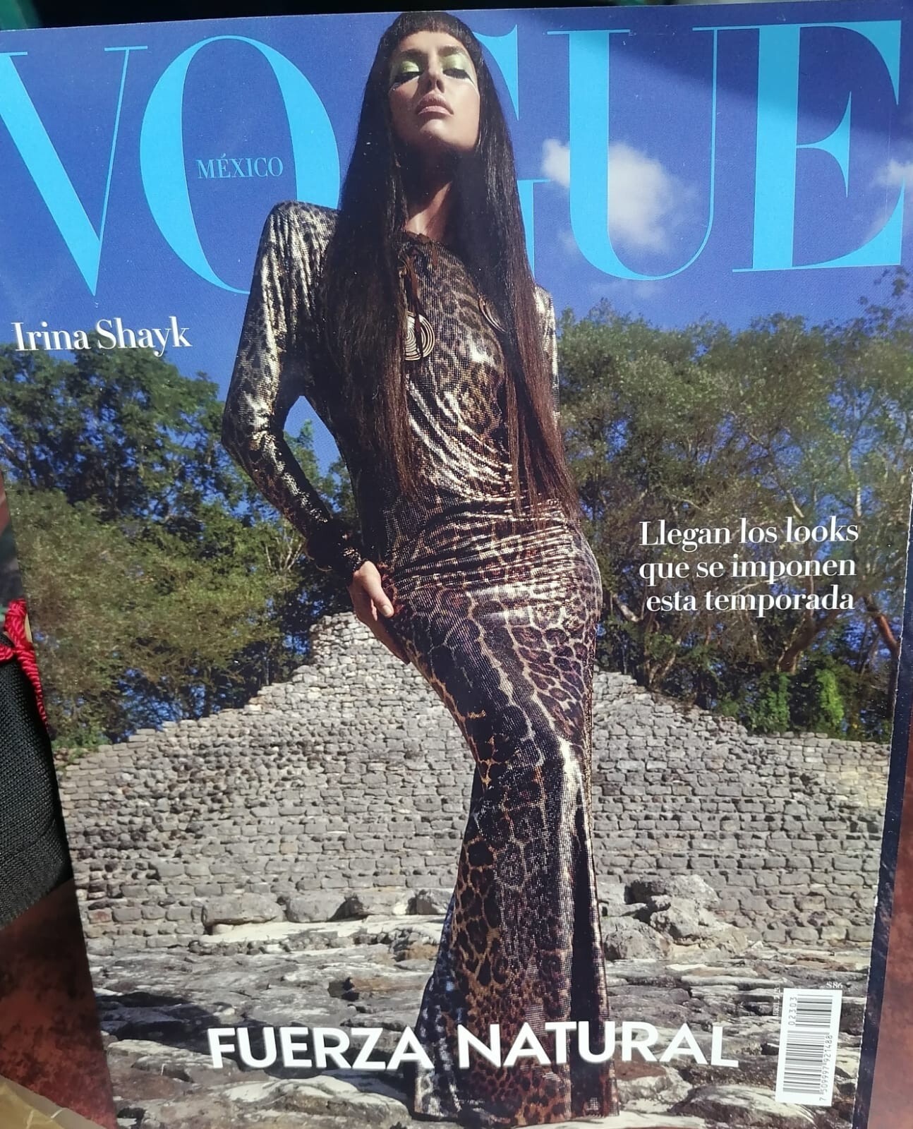 NEW IRINA SHAYK VOGUE MEXICAN MAGAZINE MEXICO SPANISH COVER 1 APRIL ...