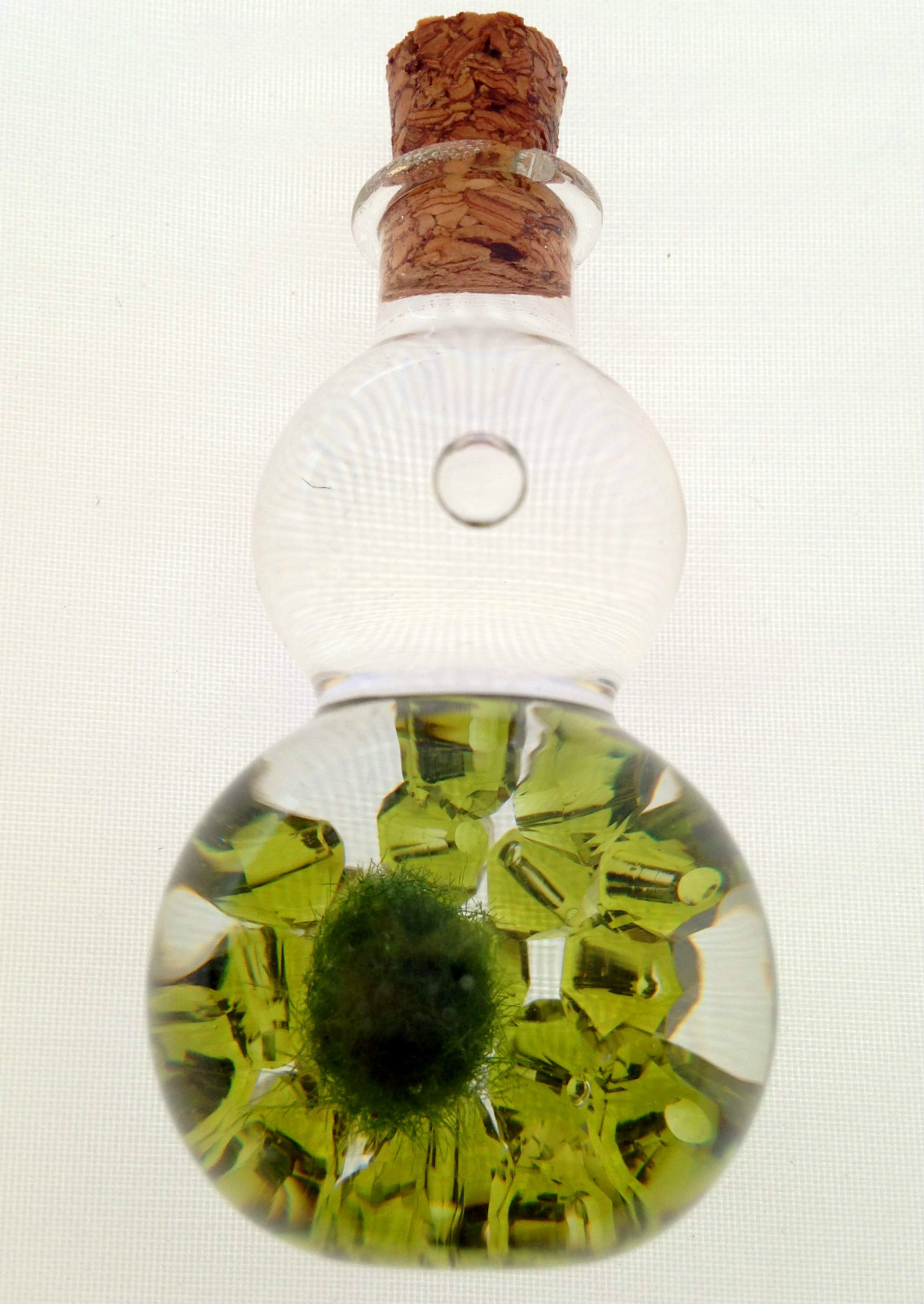 Baby Marimo Lucky Plant Moss Ball in Glass Bottle w Olivine Swarovski ...