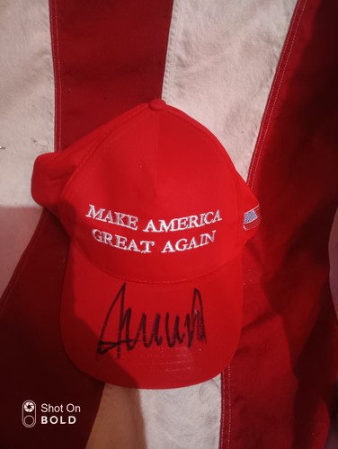 Donald Trump Signed Autographed Campaign Hat 45-47 Make America Great ...