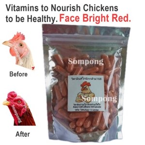 Sompong68 | eBay Stores