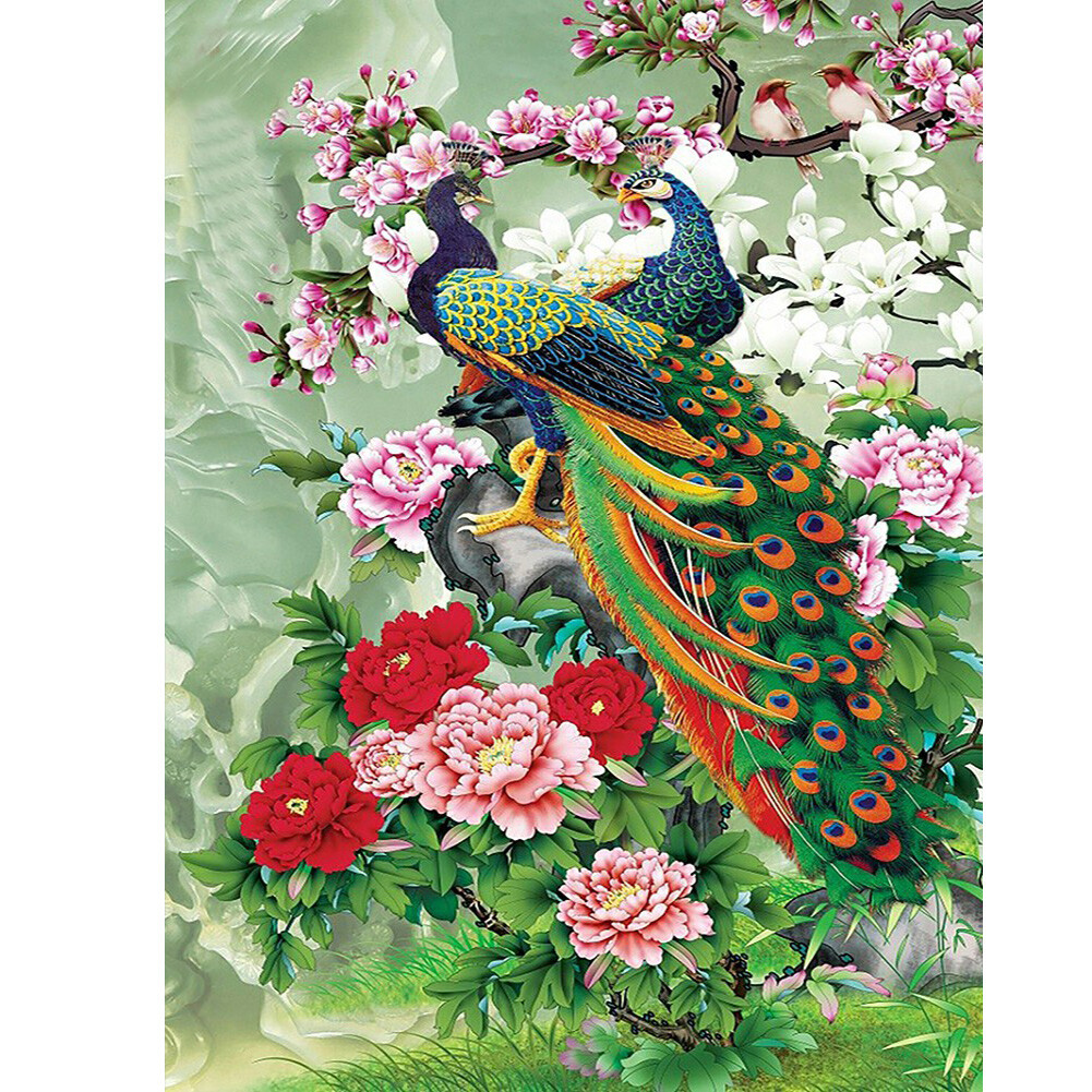 5D Diamond Painting Kit DIY Peacock Full Square Diamond Mosaic Picture ...